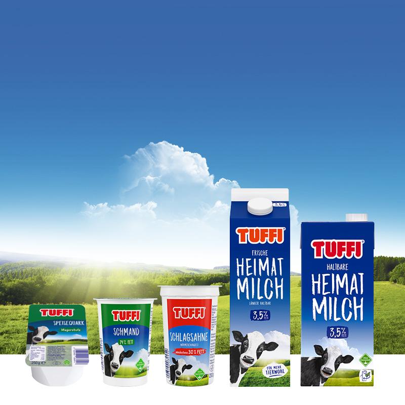 Tuffi: Eleganza e Tecnica Nelle Competizioni Olimpiche